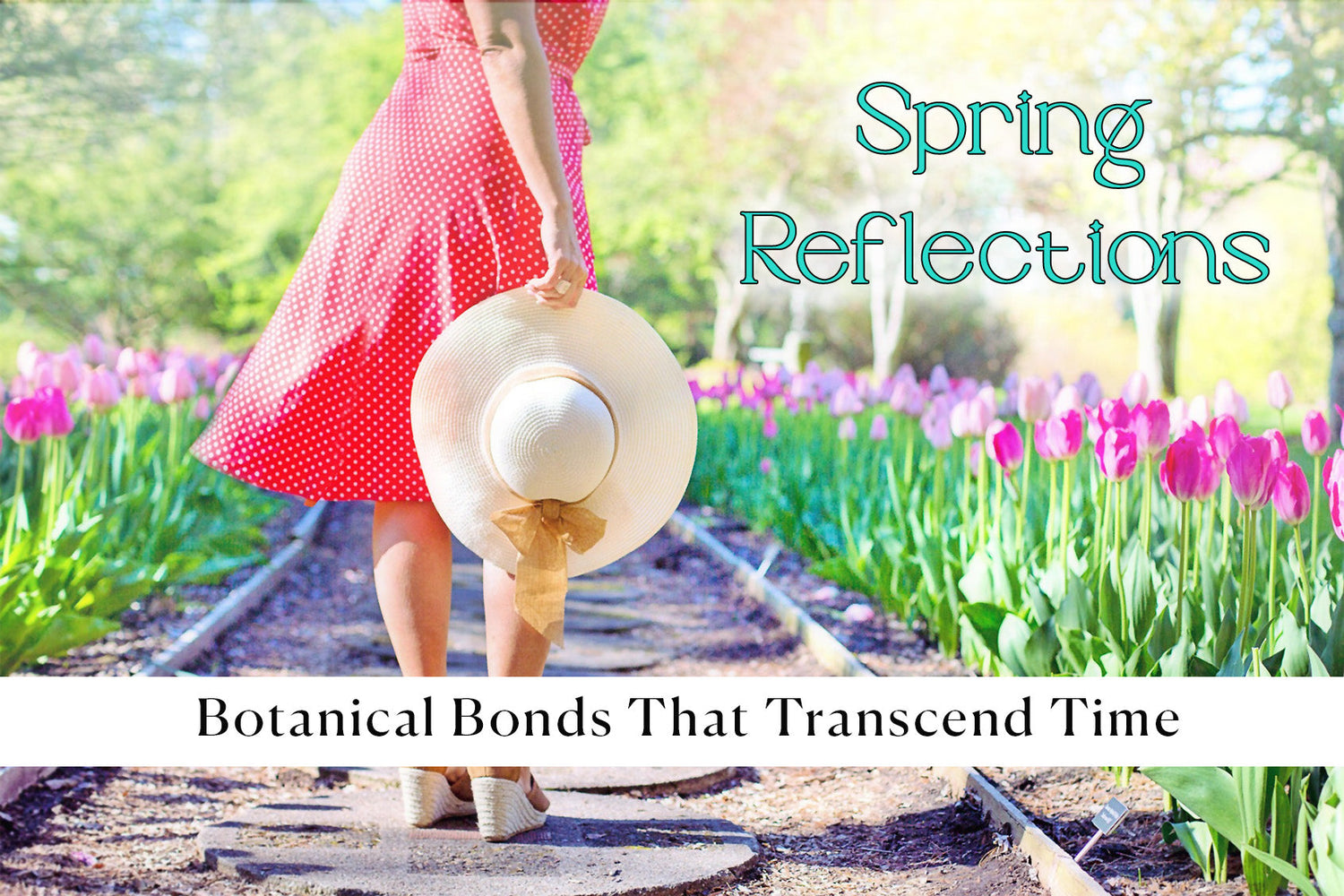 Spring Reflections: Botanical Bonds That Transcend Time – Sorcery Soaps™