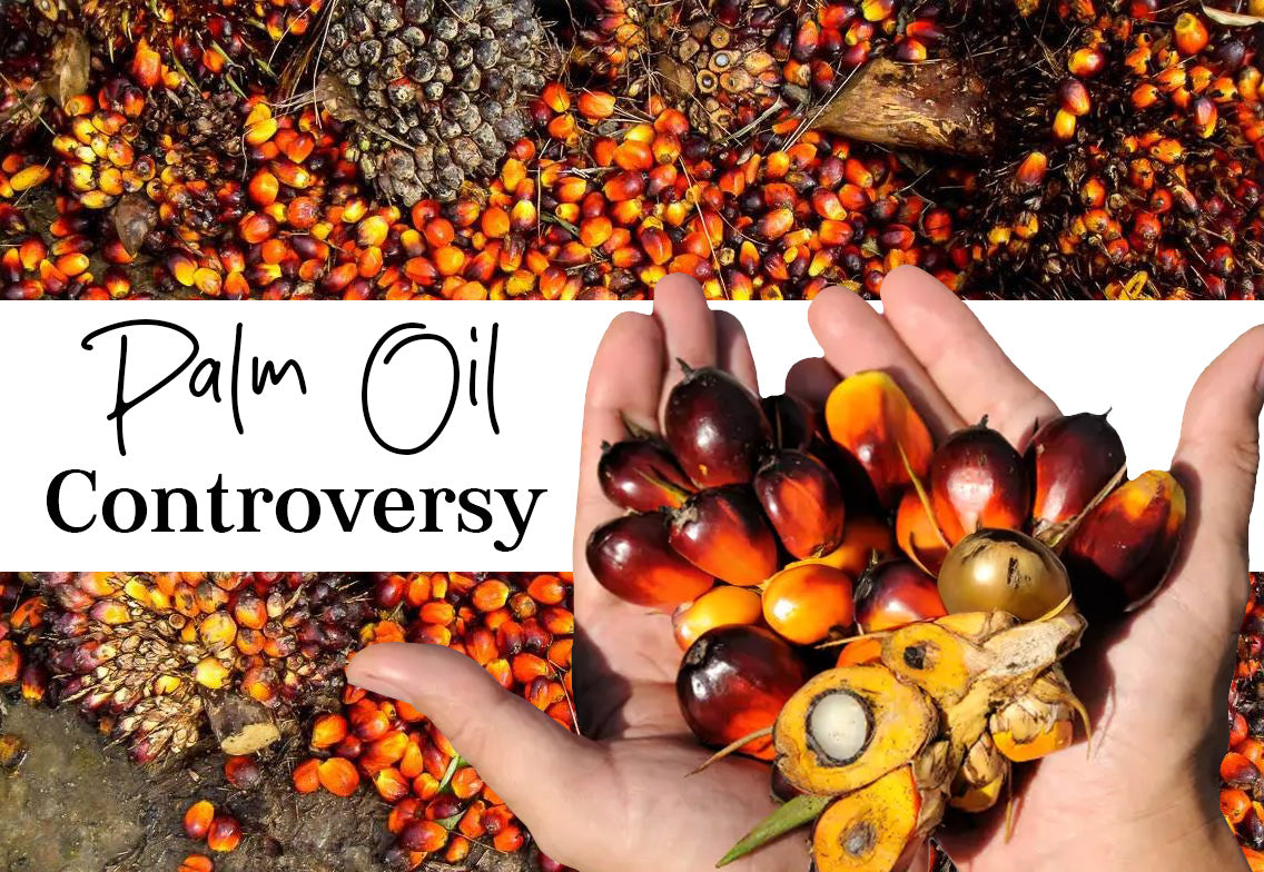 Palm oil Light and Dark of a Controversial oil – Sorcery Soaps™