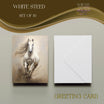 White Steed Horse Greeting Cards – Sorcery Soaps™